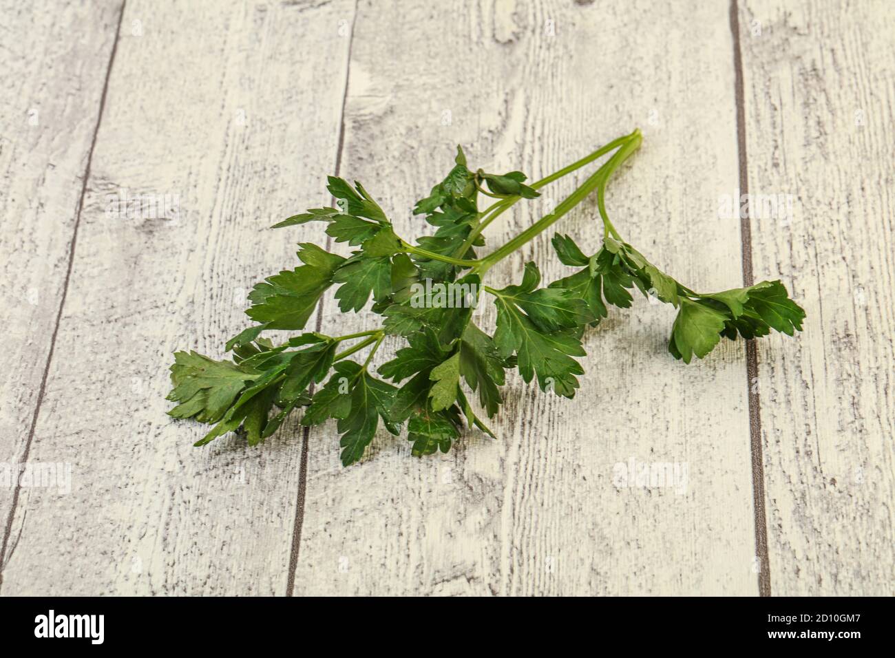 Aroma Green fresh parsley branch herb Stock Photo - Alamy