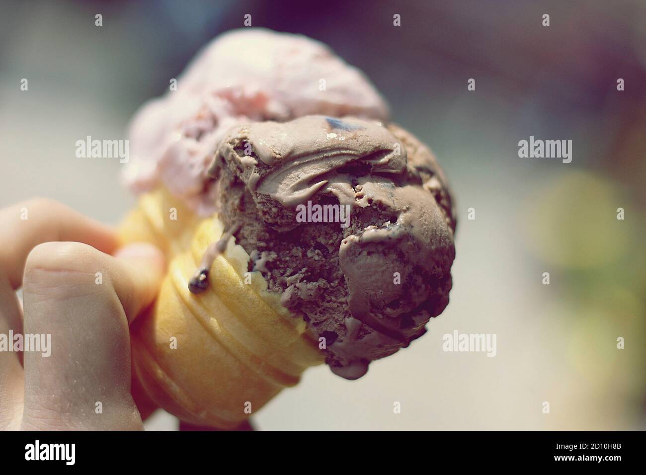 A double ice cream cone, strawberry and chocolate flavour, held in the ...
