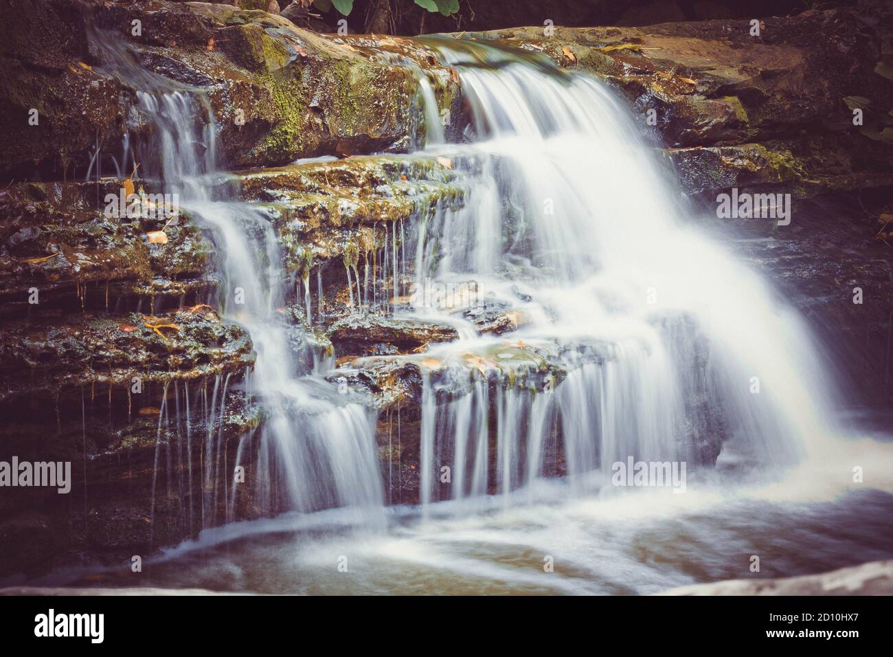 Buterfly hi-res stock photography and images - Alamy