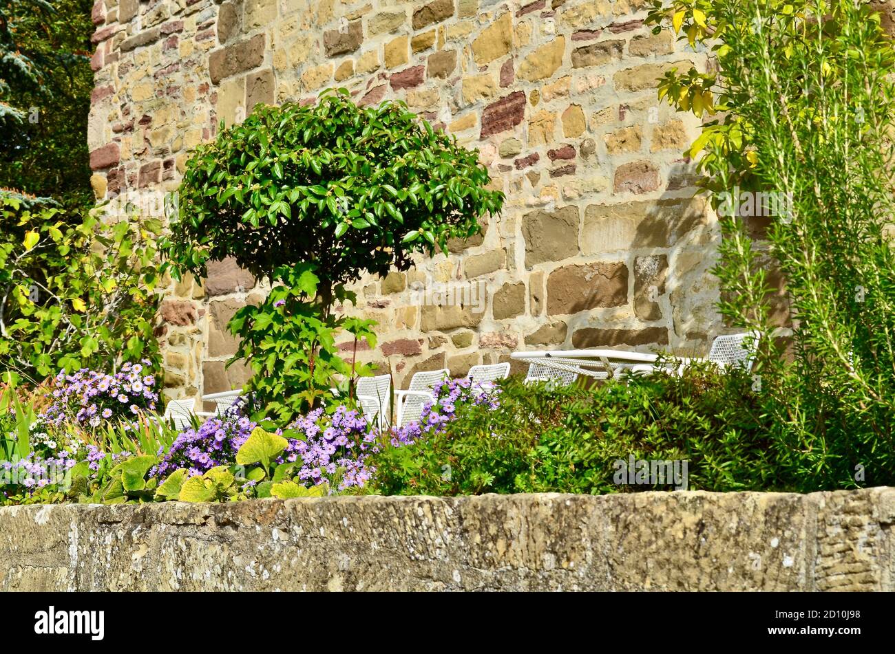 Leonberg hi-res stock photography and images - Alamy