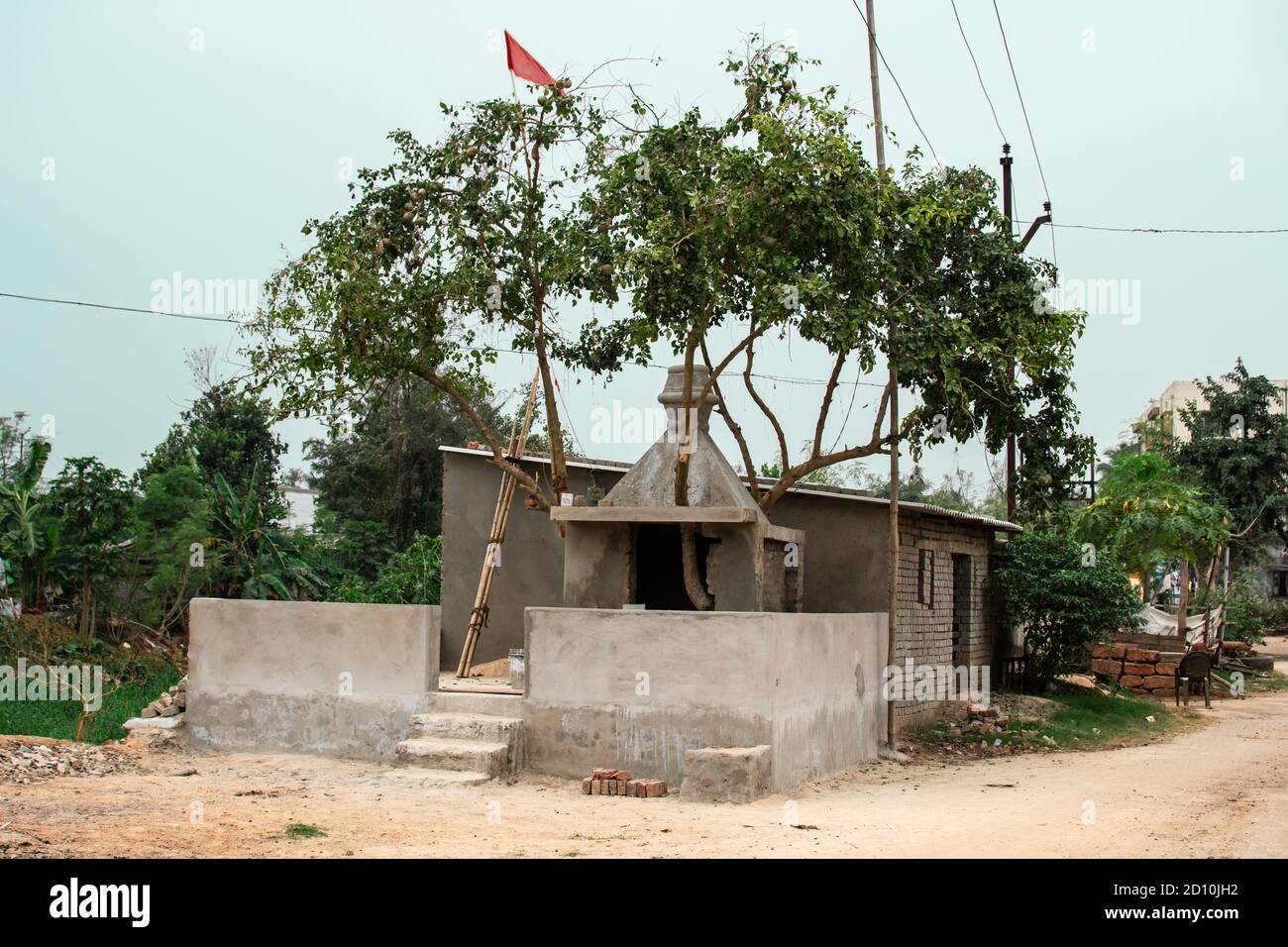 Tree growing through roof hi-res stock photography and images - Alamy
