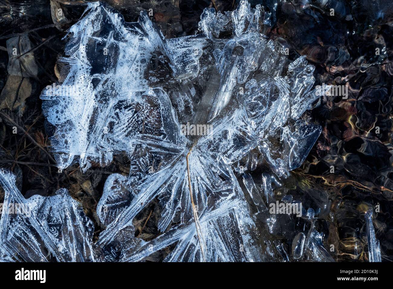 North America; United States; Alaska; Spring; Ice; Stream; Patterns ...