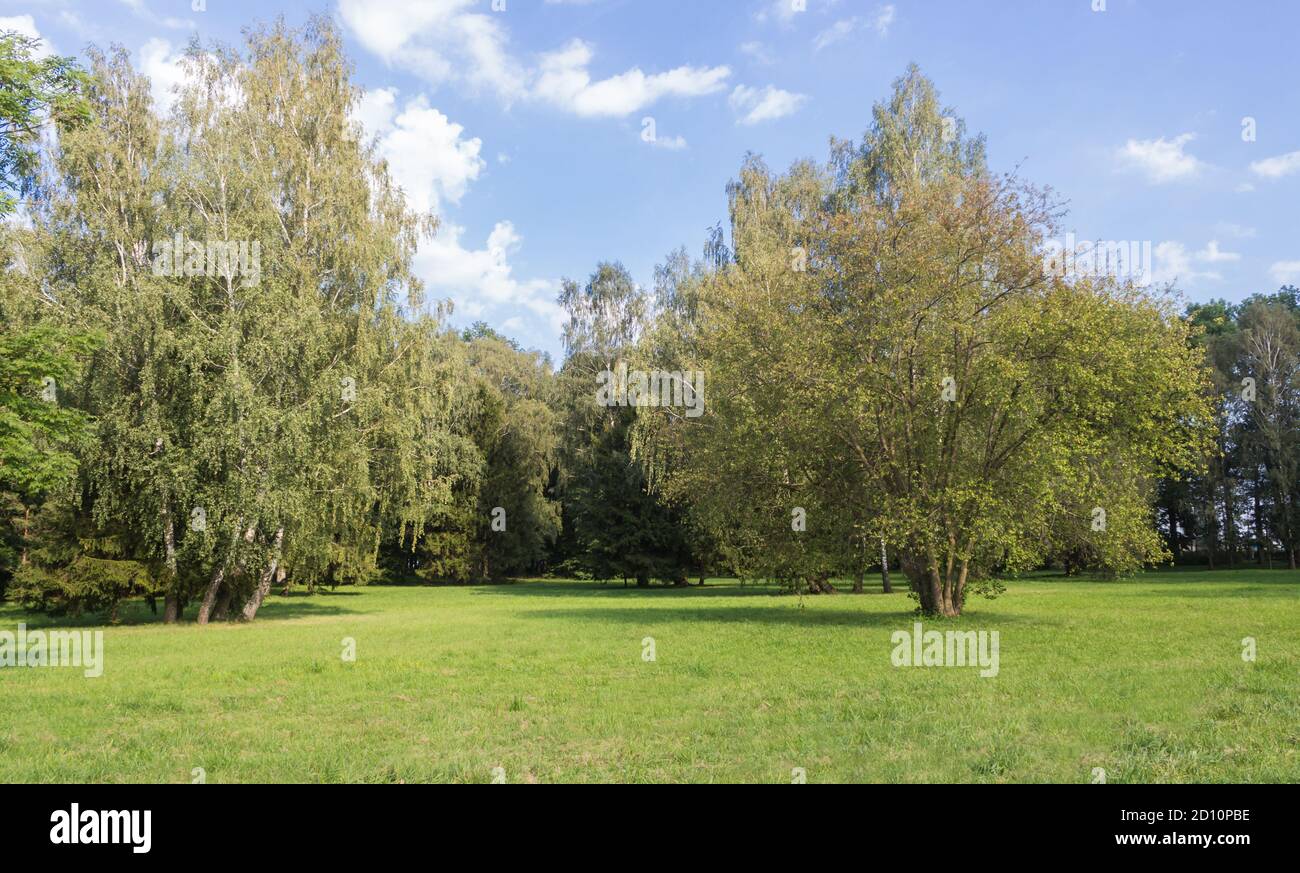 Castle park big trees ornamental hi-res stock photography and images ...