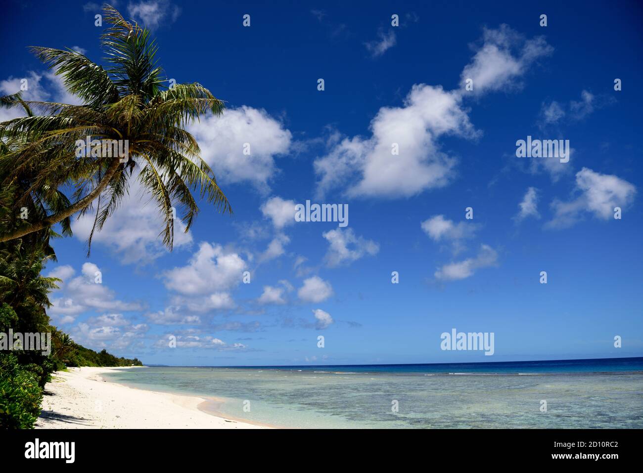 Deserted tropical sandy beach with coconut trees and clear blue waters ...