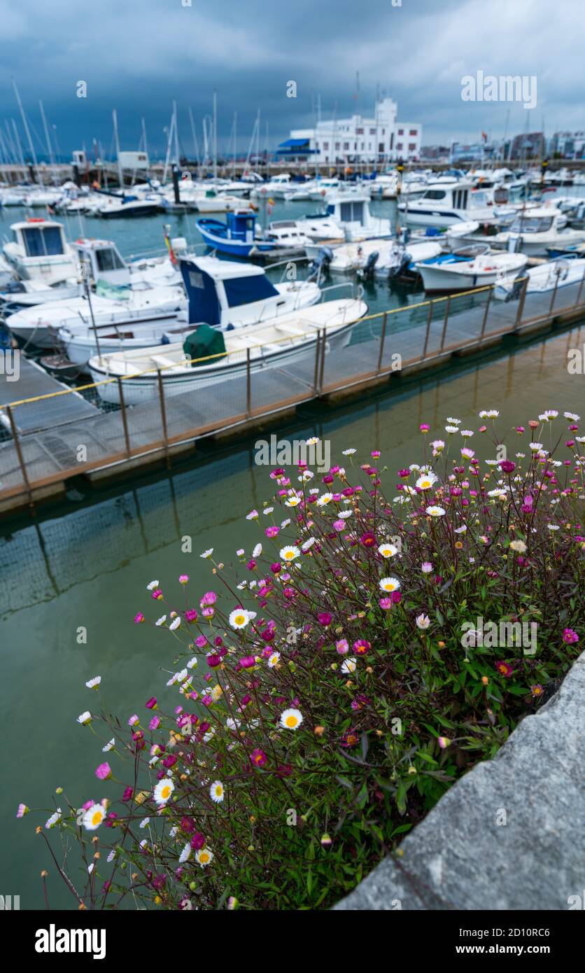 Puertochico Marina, Santander Bay, Santander, Cantabria, Spain, Europe ...