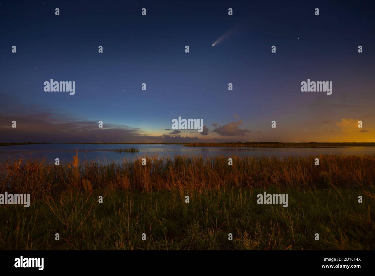A photograph of Comet Neowise over the Florida Everglades in the summer ...