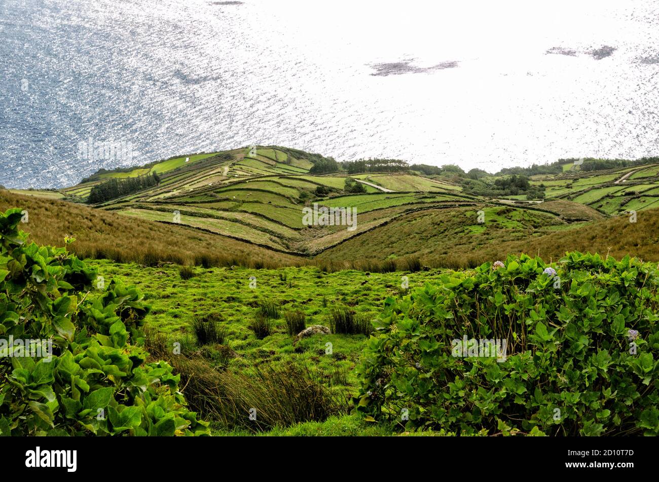Marco di corvo hi-res stock photography and images - Alamy