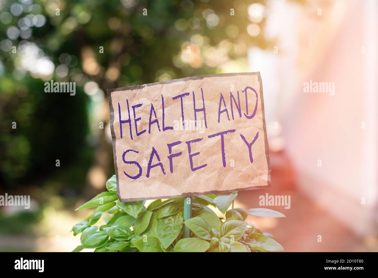 Writing note showing Health And Safety. Business concept for procedures ...