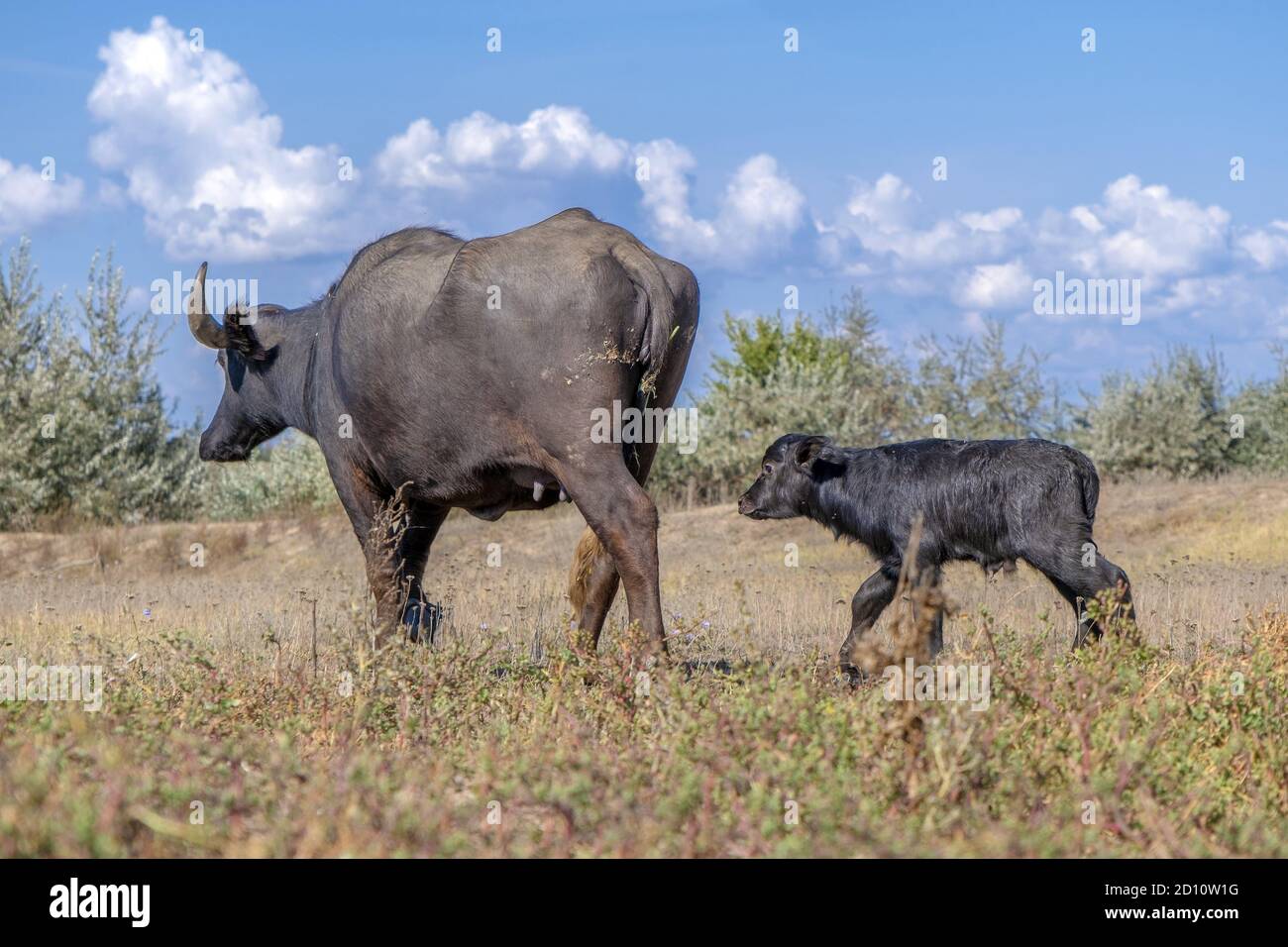 Baby 2018 stock hi-res stock photography and images - Alamy
