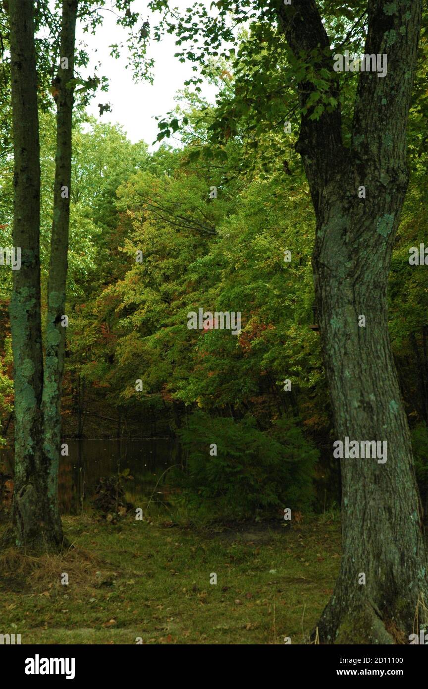 Goose Pond Waterfowl Area Stock Photo - Alamy