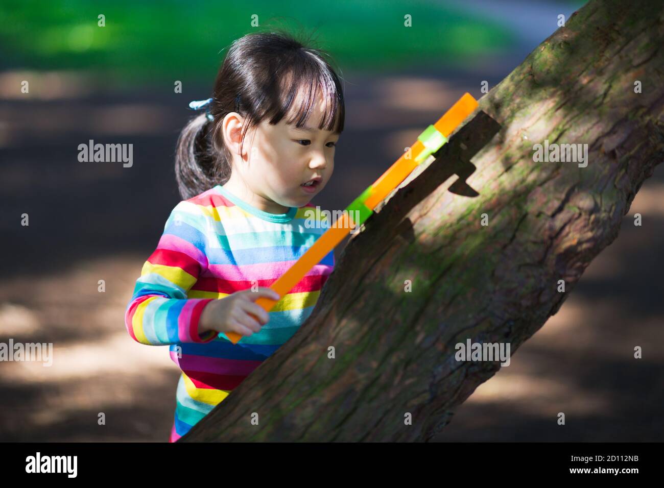 young girl playing outdoor measure-mate in the forest park for leaning ...