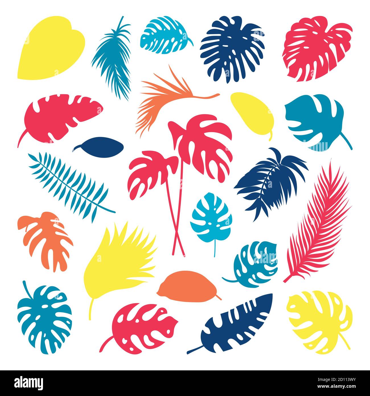 Tropical leaves collection. Vector isolated elements on the white ...
