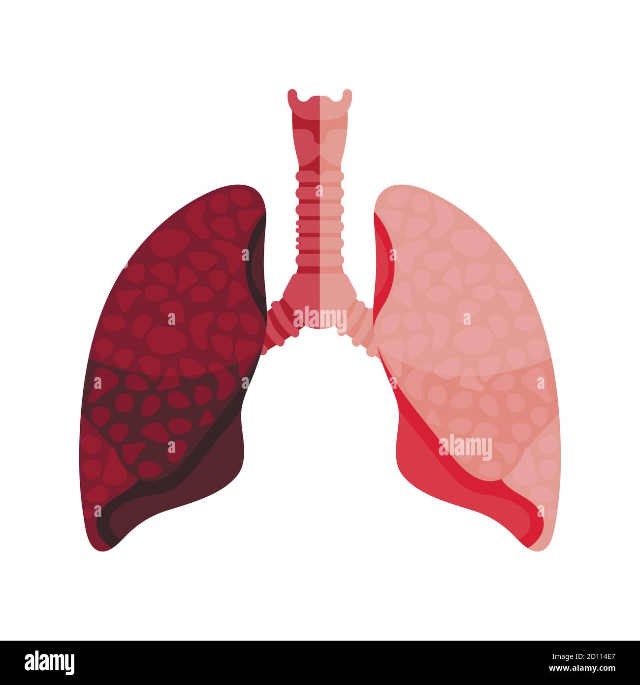 Lungs Icon Flat Style Internal Organs Of The Human Design Element