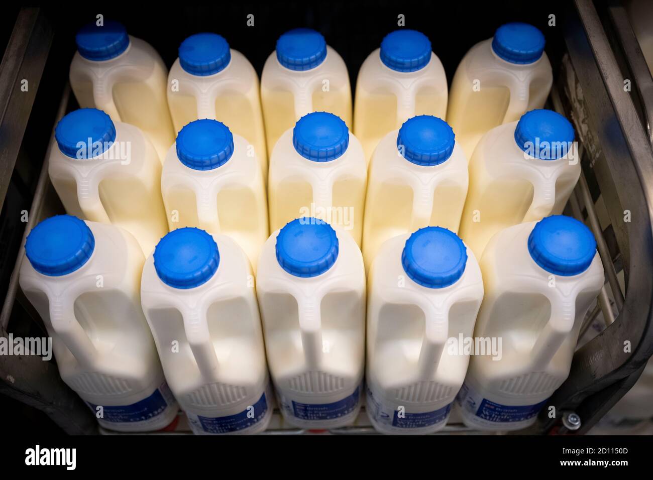 A top down view of bottles of milk with blue lids in a supermarket ...
