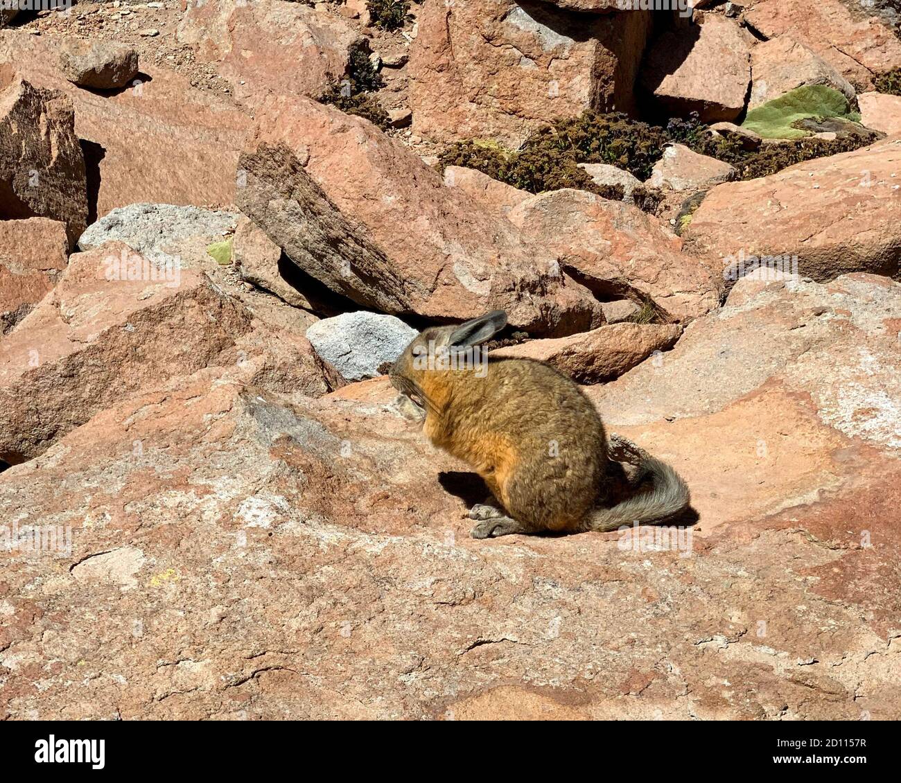 Boulder salar de uyuni bolivia hi-res stock photography and images - Alamy