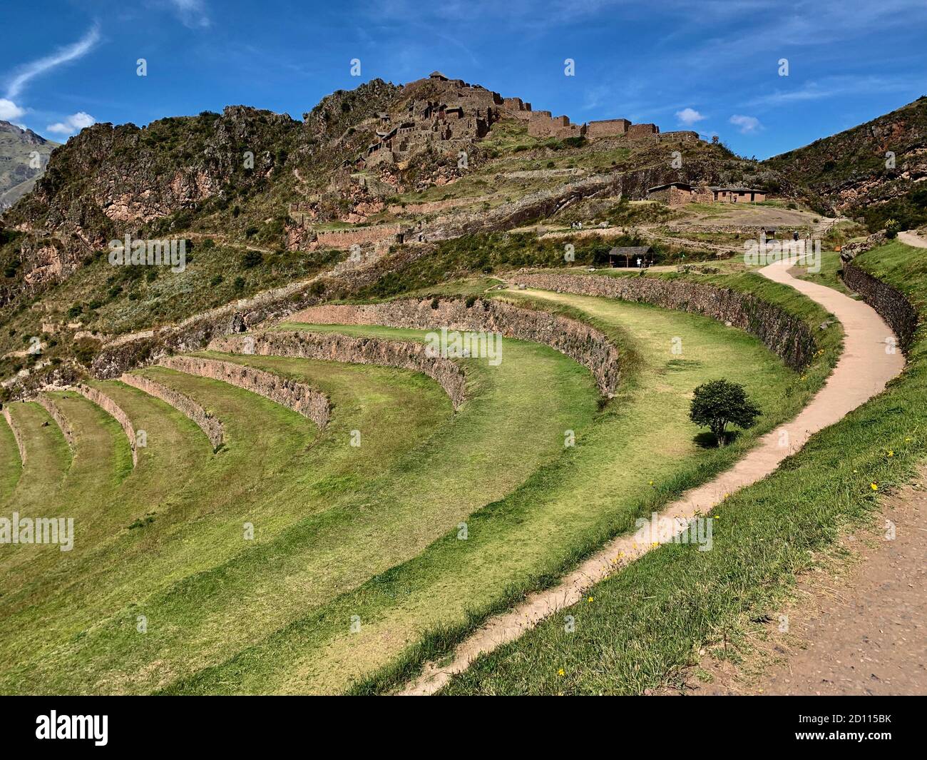 Green grass agricultural terraces of ancient Incas near old stone Incan ...