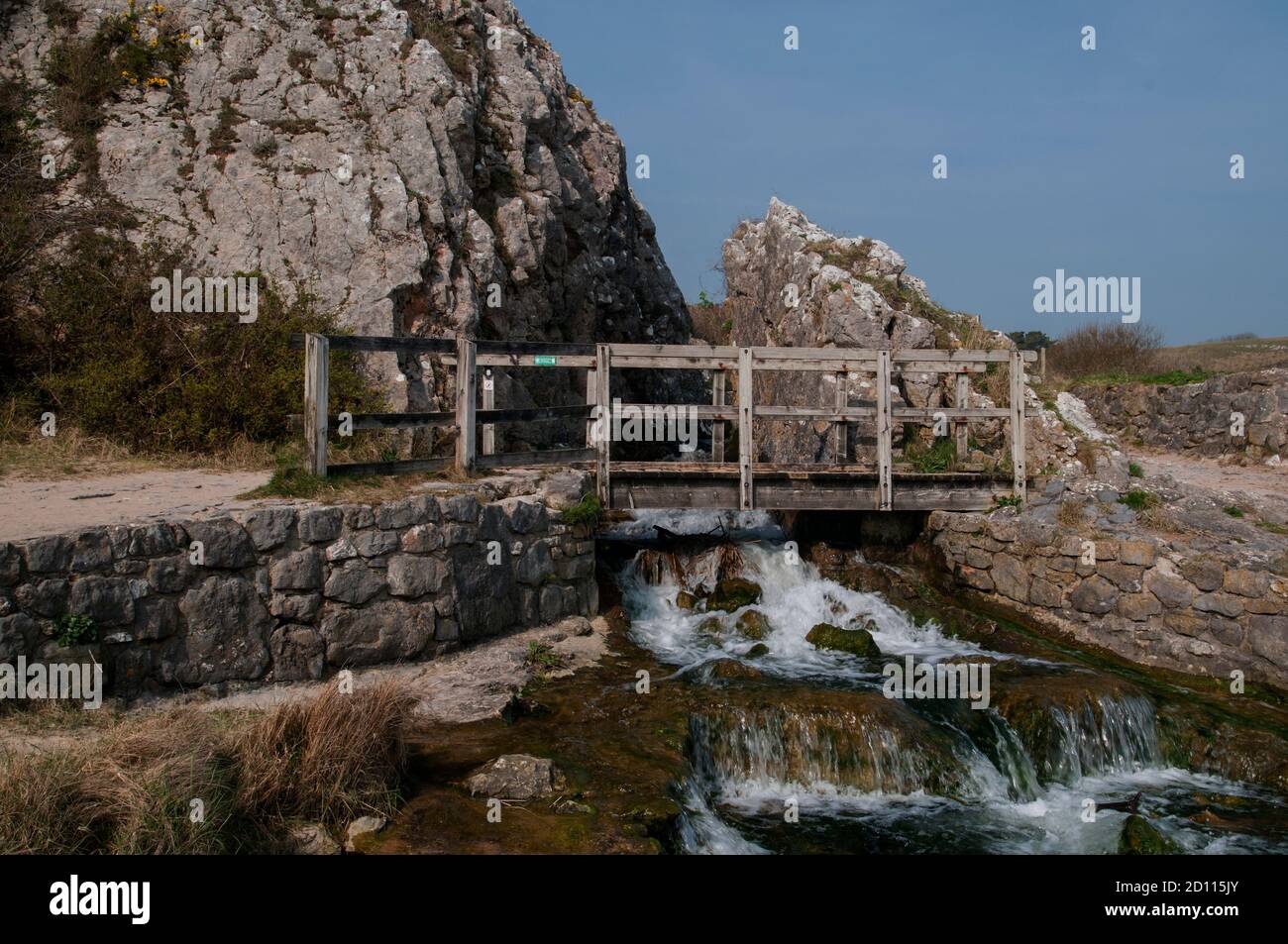Bosherston lily ponds pembrokeshire hi-res stock photography and images ...