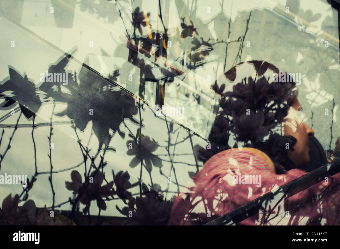 Reflections in the store window Stock Photo - Alamy