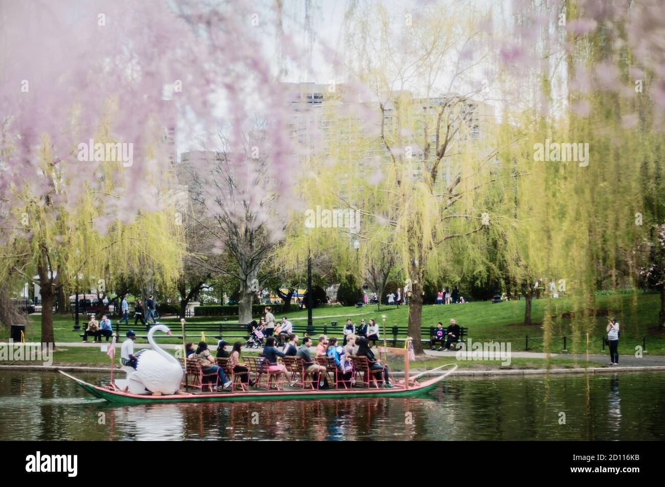Swan boat hi-res stock photography and images - Alamy