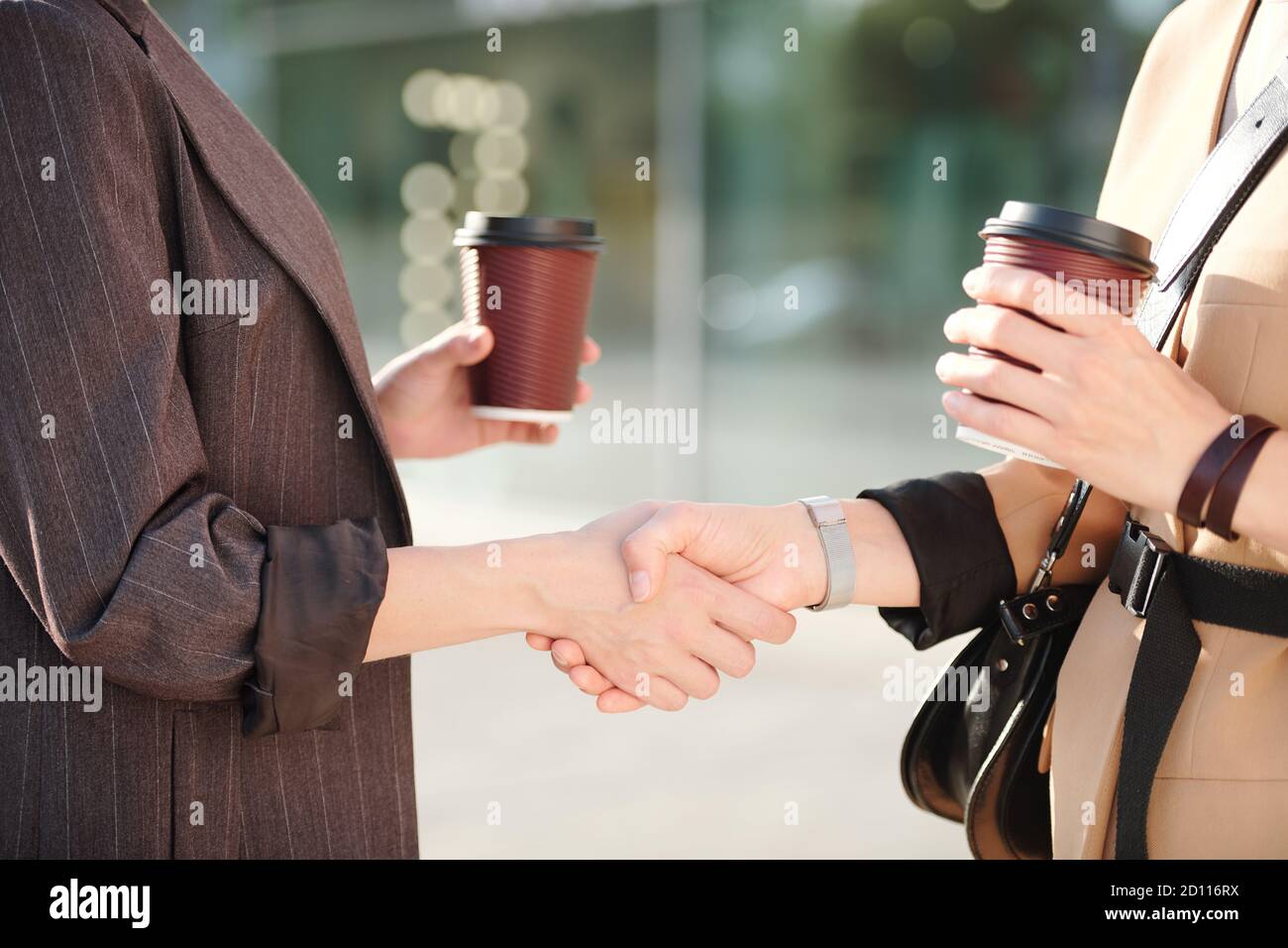 Young successful contemporary female business partners with drinks ...