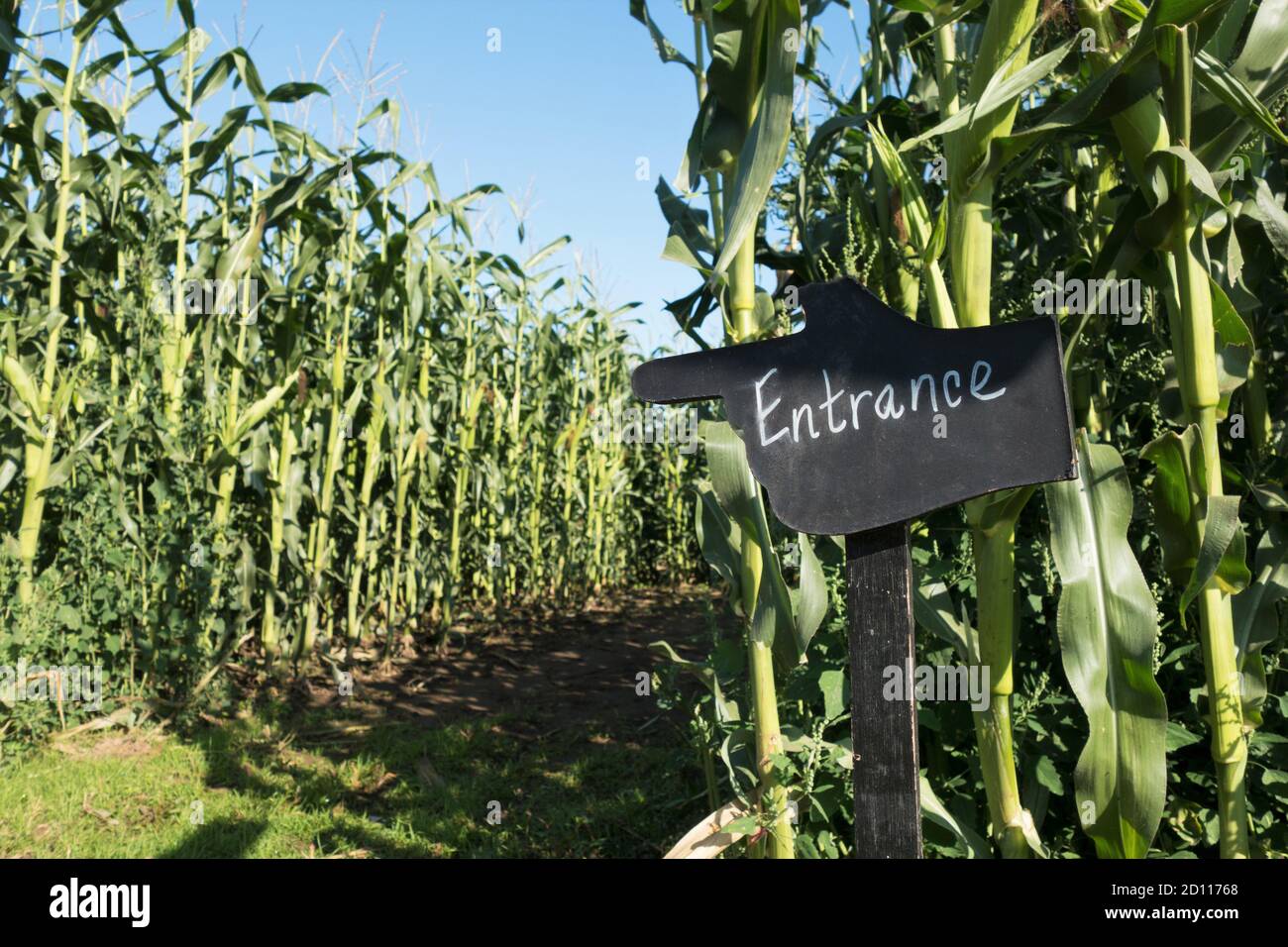 Corn maze sign hi-res stock photography and images - Alamy