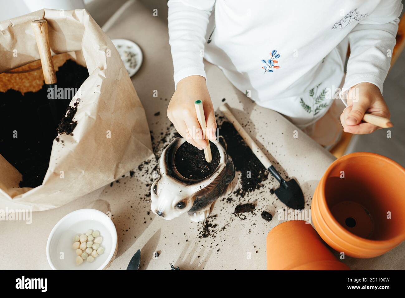 Kids science experiment - Child learning to grow peas seeds at home ...