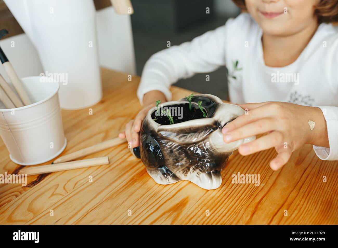Kids science experiment - Child learning to grow peas seeds at home ...