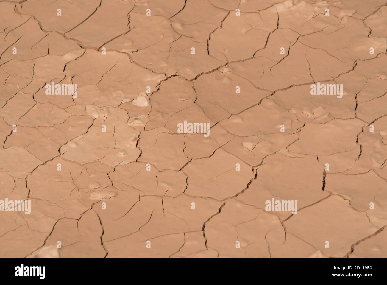 dried out soil in heat and dryness in summer time Stock Photo - Alamy