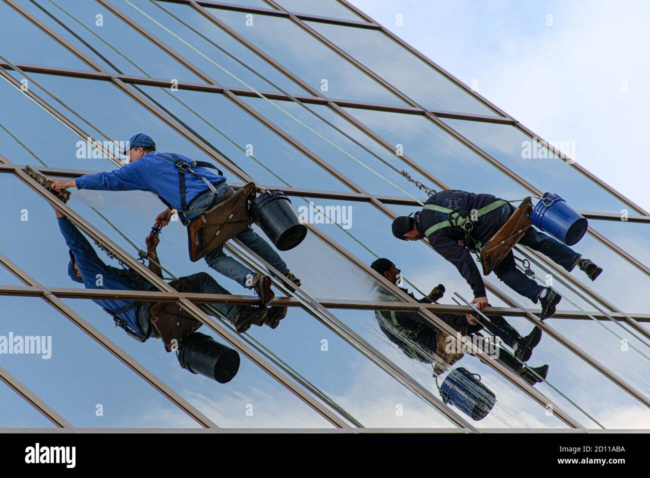 two maintenance workers cleaning windows of tall glass building Stock ...