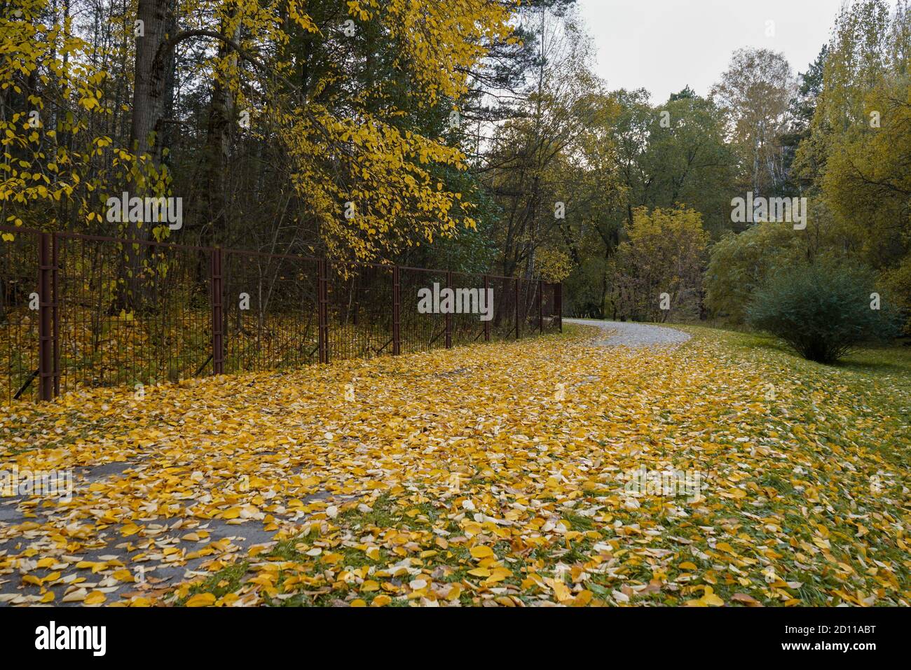 Autumn park asphalt road hi-res stock photography and images - Alamy