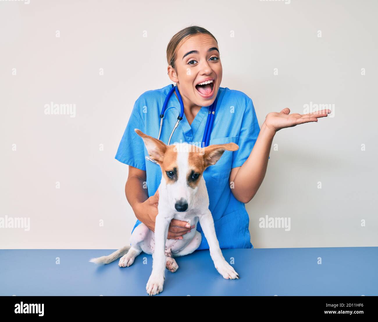 Woman yelling at dog hi-res stock photography and images - Alamy