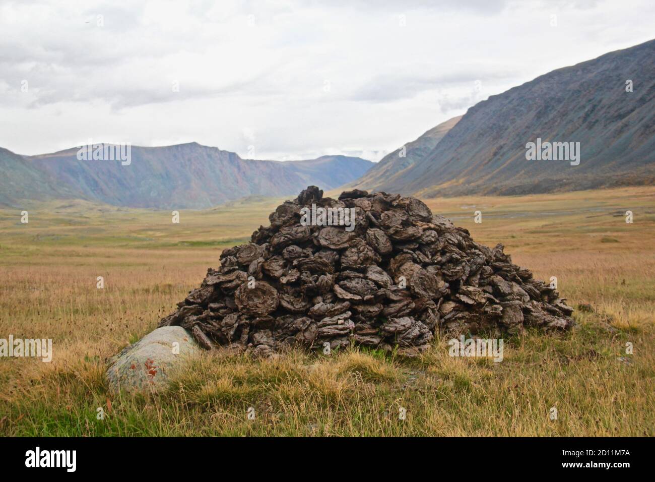 Pile of the animal manure on the field surrounded by the mountains ...