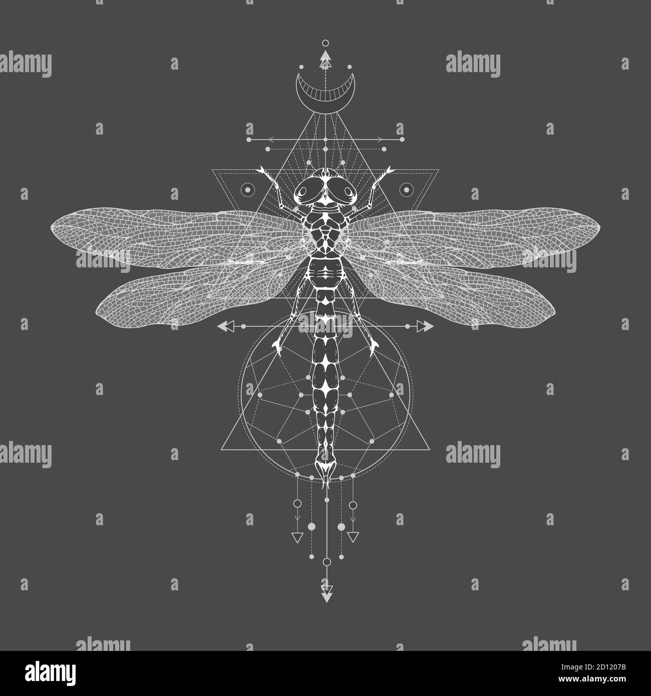 Vector illustration with hand drawn dragonfly and Sacred geometric ...