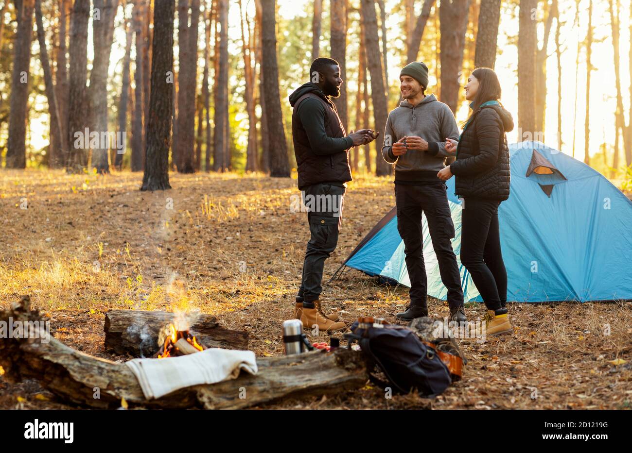 Young friends hikers camping in forest, talking next to tent Stock ...