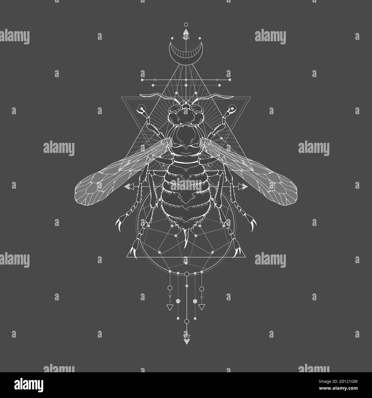 Vector illustration with hand drawn wasp and Sacred geometric symbol on ...