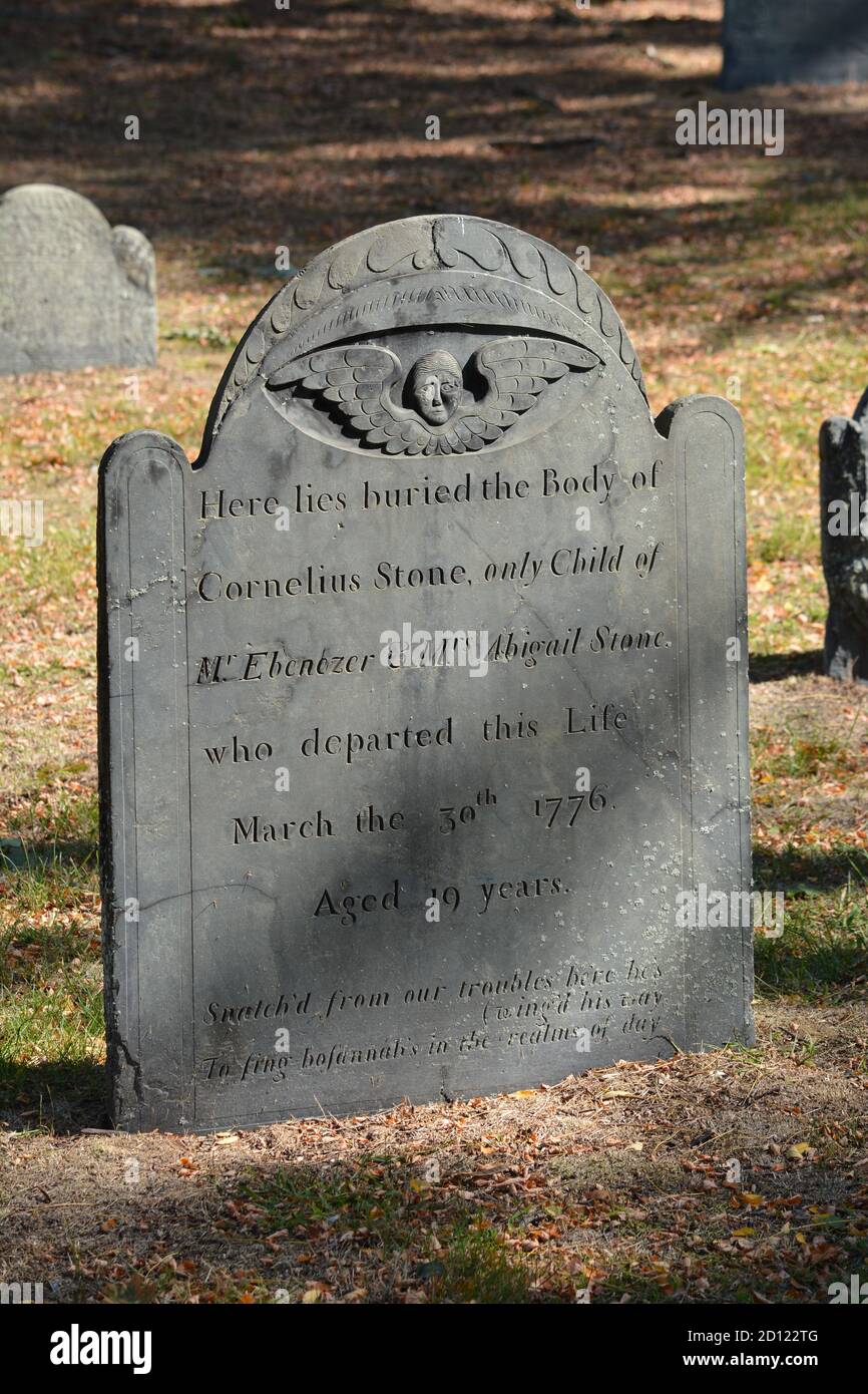 In the iconic Mount Auburn Cemetery, home to many historical figures ...