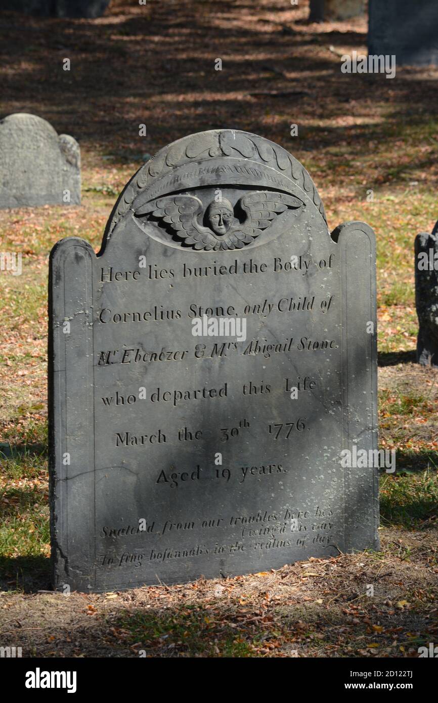 In the iconic Mount Auburn Cemetery, home to many historical figures ...