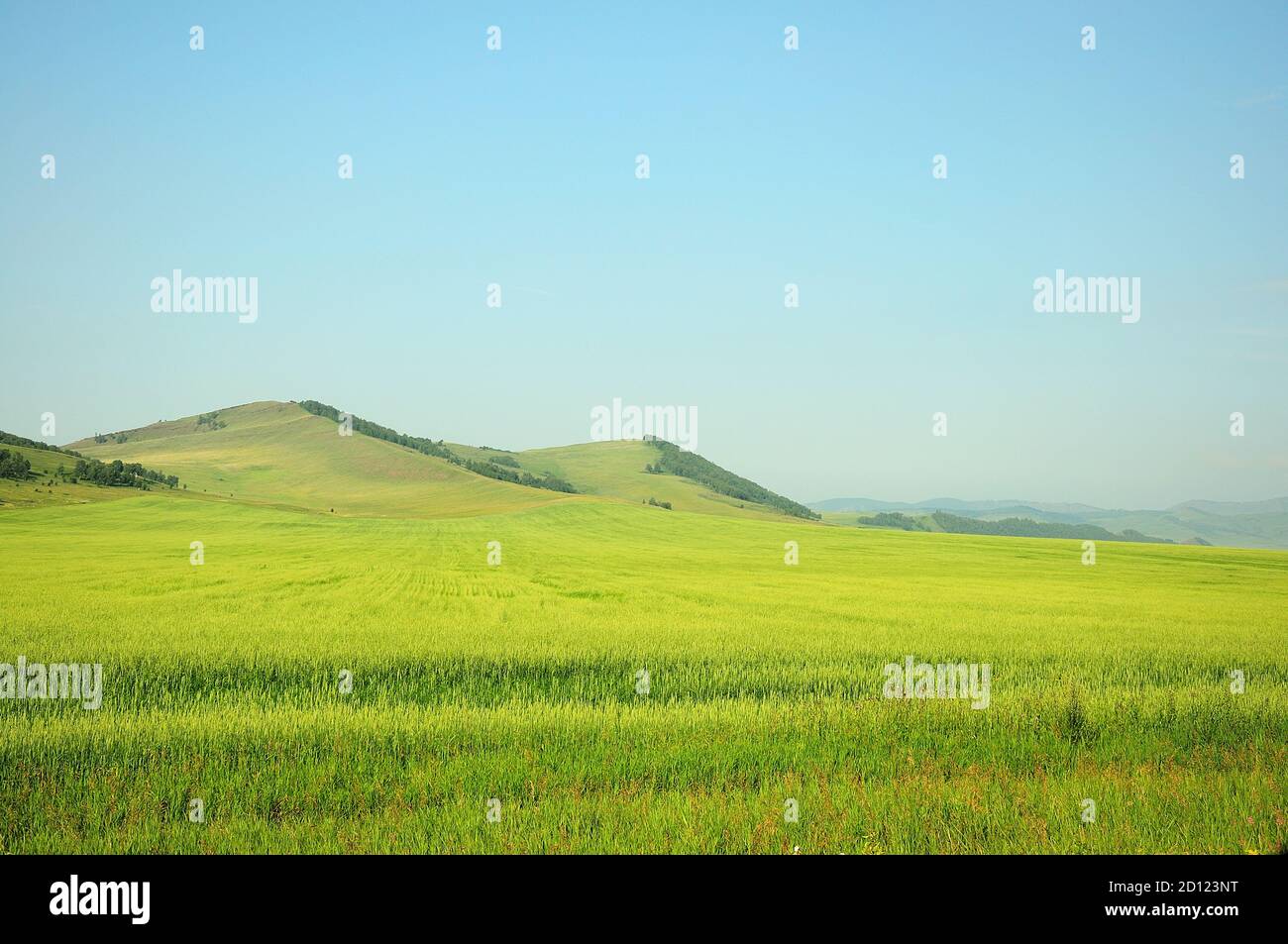 Steppes of siberia hi-res stock photography and images - Alamy