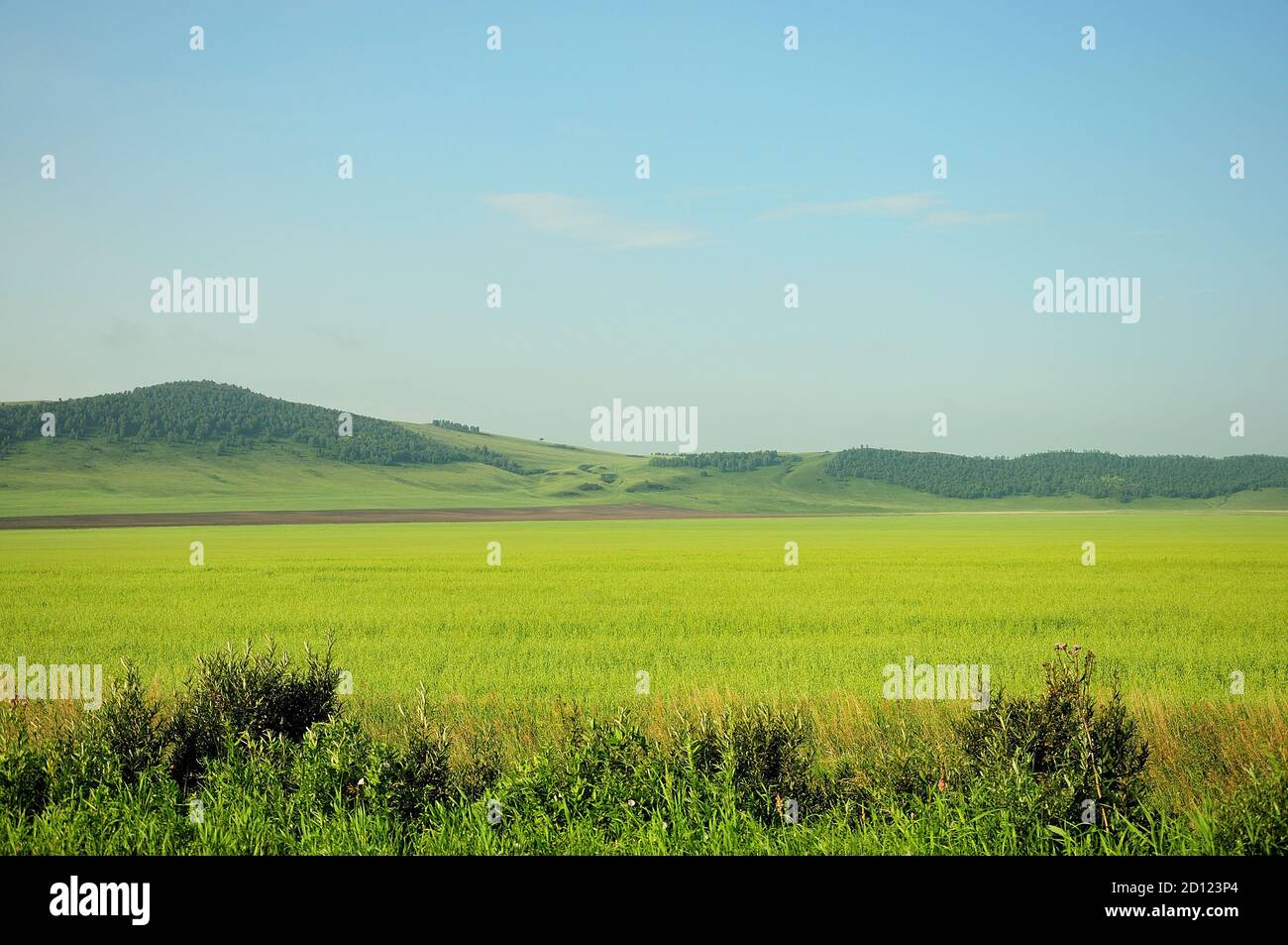 Steppes of siberia hi-res stock photography and images - Alamy
