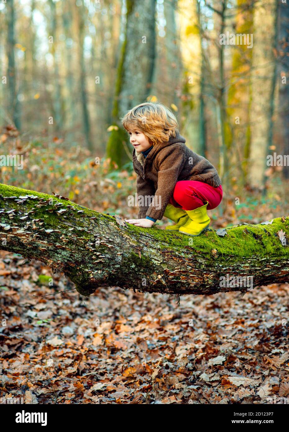 Boy Climbing Tree High Resolution Stock Photography and Images - Alamy