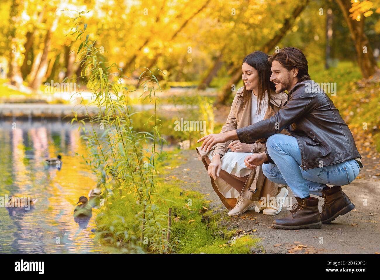 Romantic young couple looking at ducks at park Stock Photo - Alamy