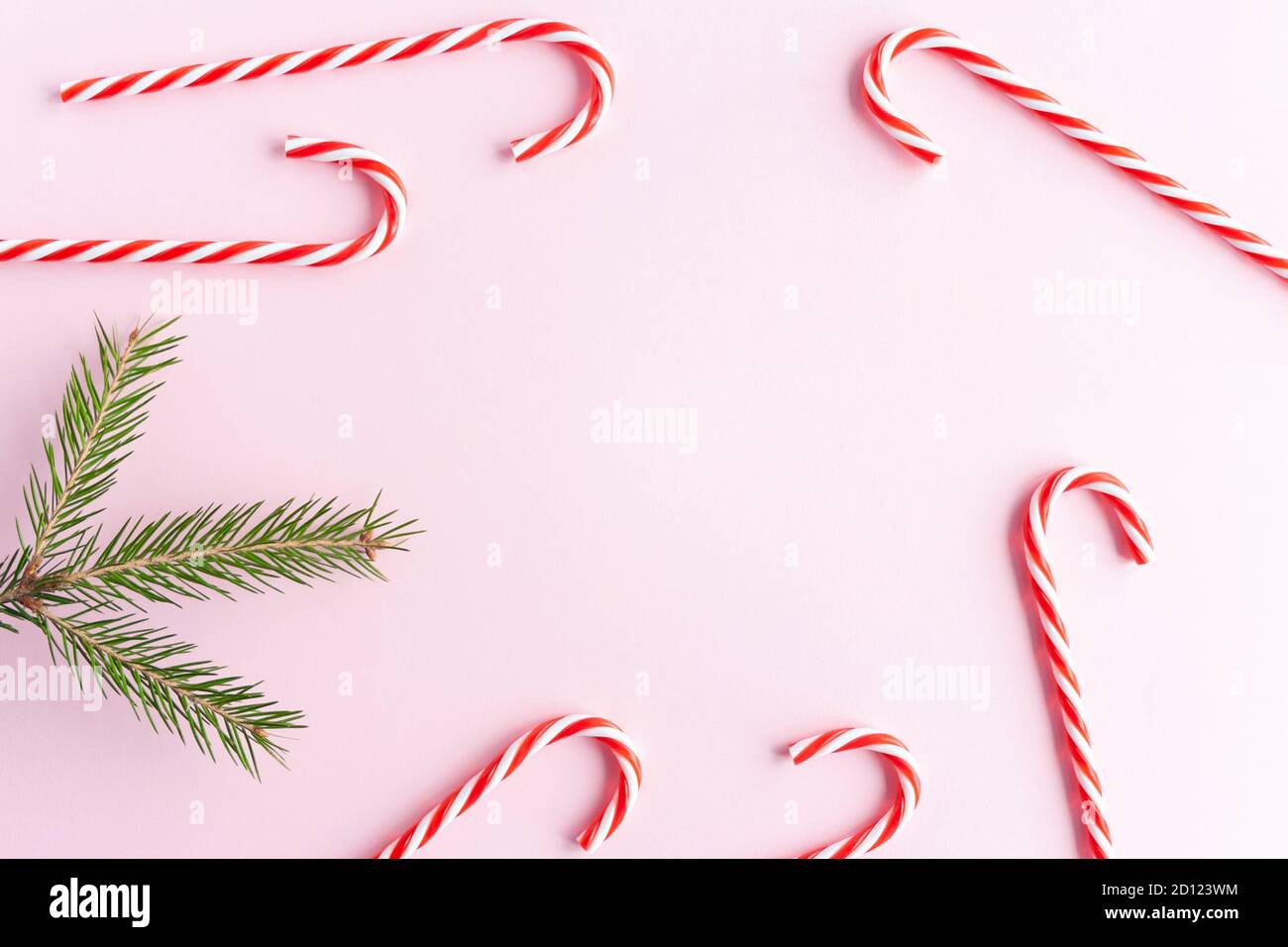 Christmas candy canes and fir branches flat lay Stock Photo - Alamy