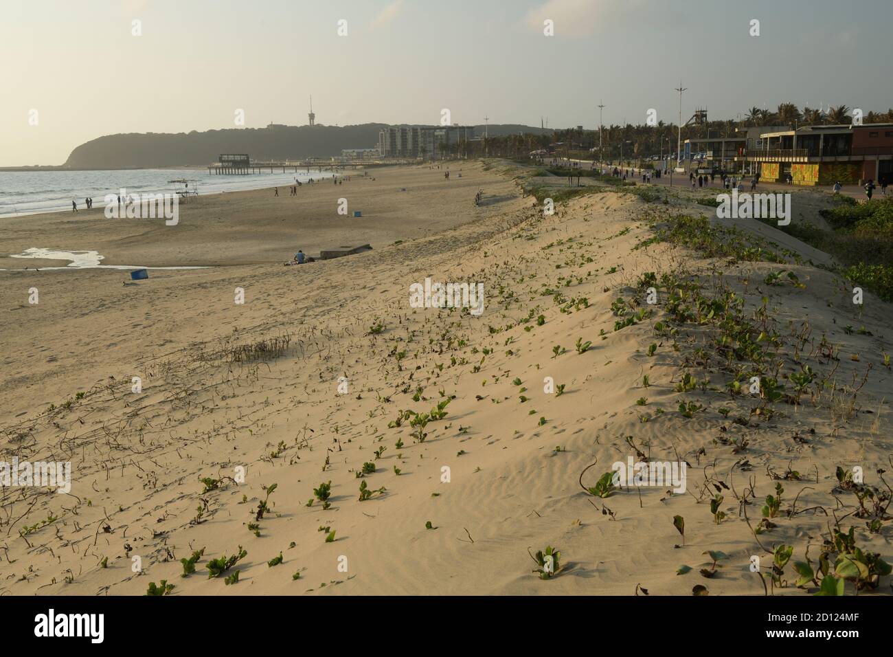 Pioneer sand dune hi-res stock photography and images - Alamy