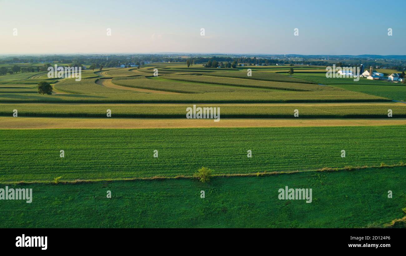 Aerial view of farm lands and corn crop and fields in late afternoon ...