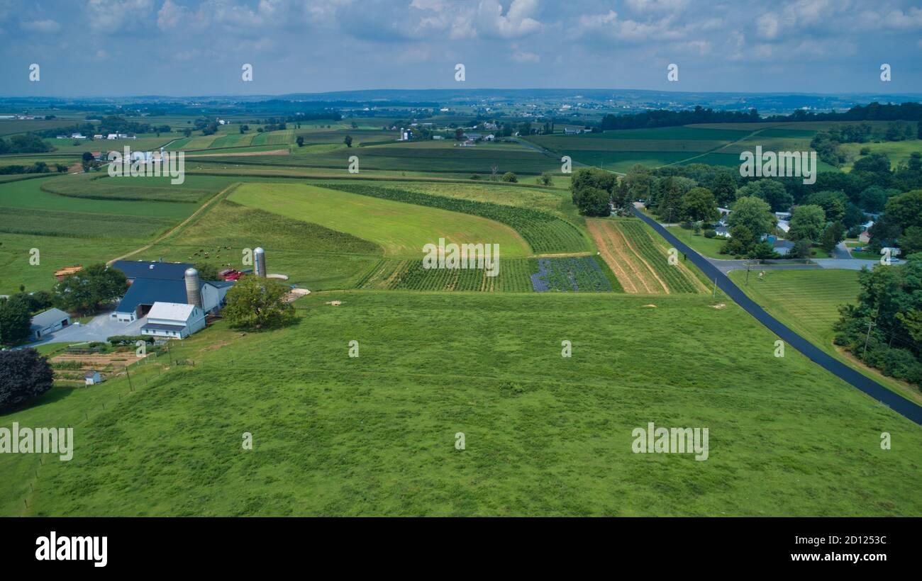 Aerial view of green farmlands and rolling crops growing on a beautiful ...