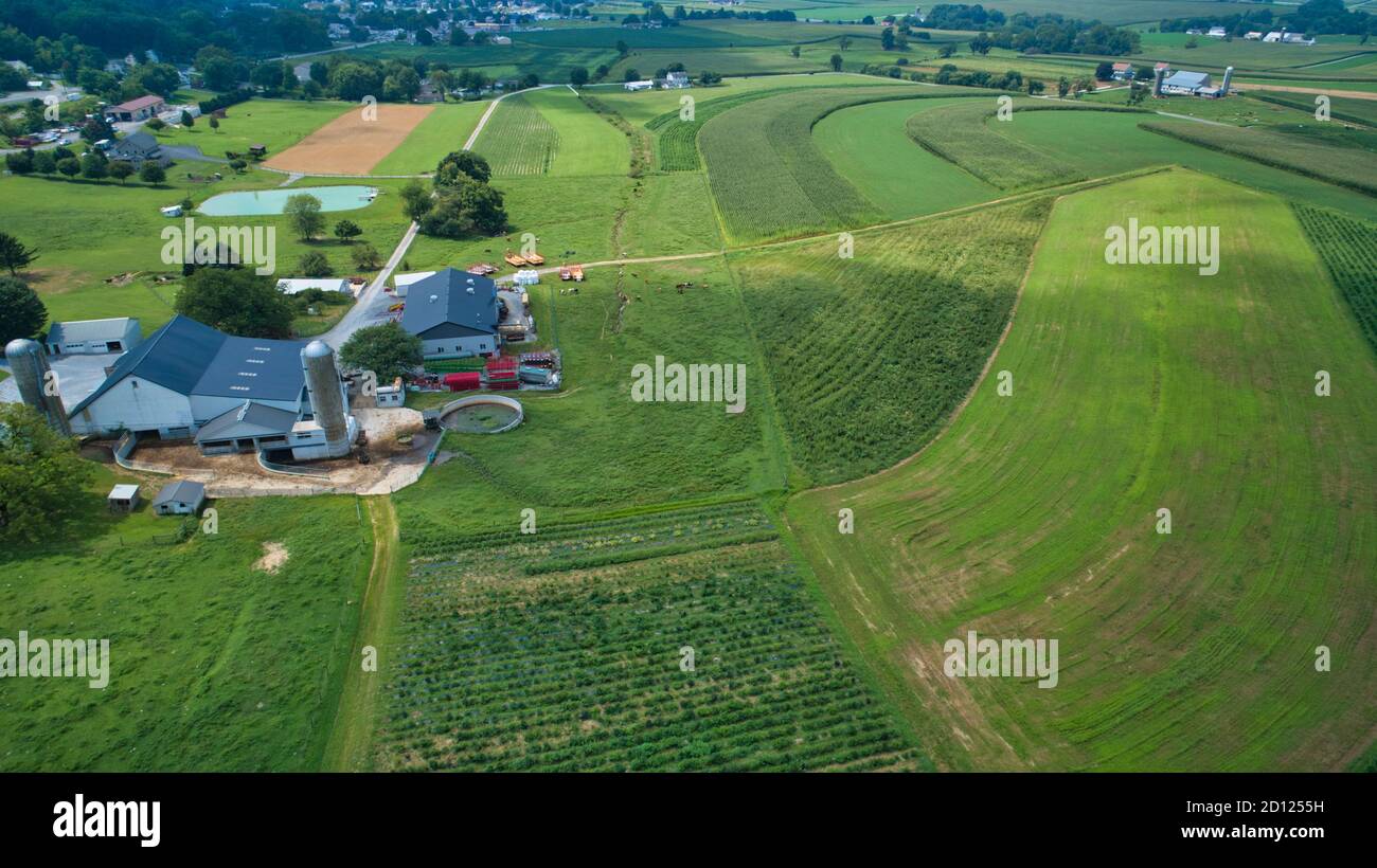Aerial view of green farmlands and rolling crops growing on a beautiful ...