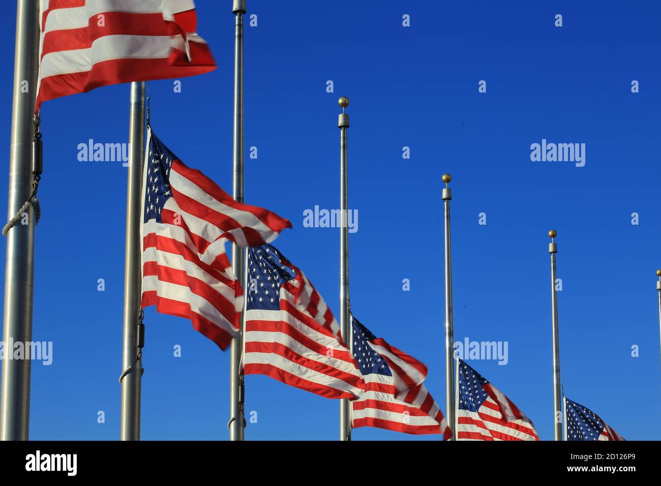 usa flag in the wing Stock Photo - Alamy