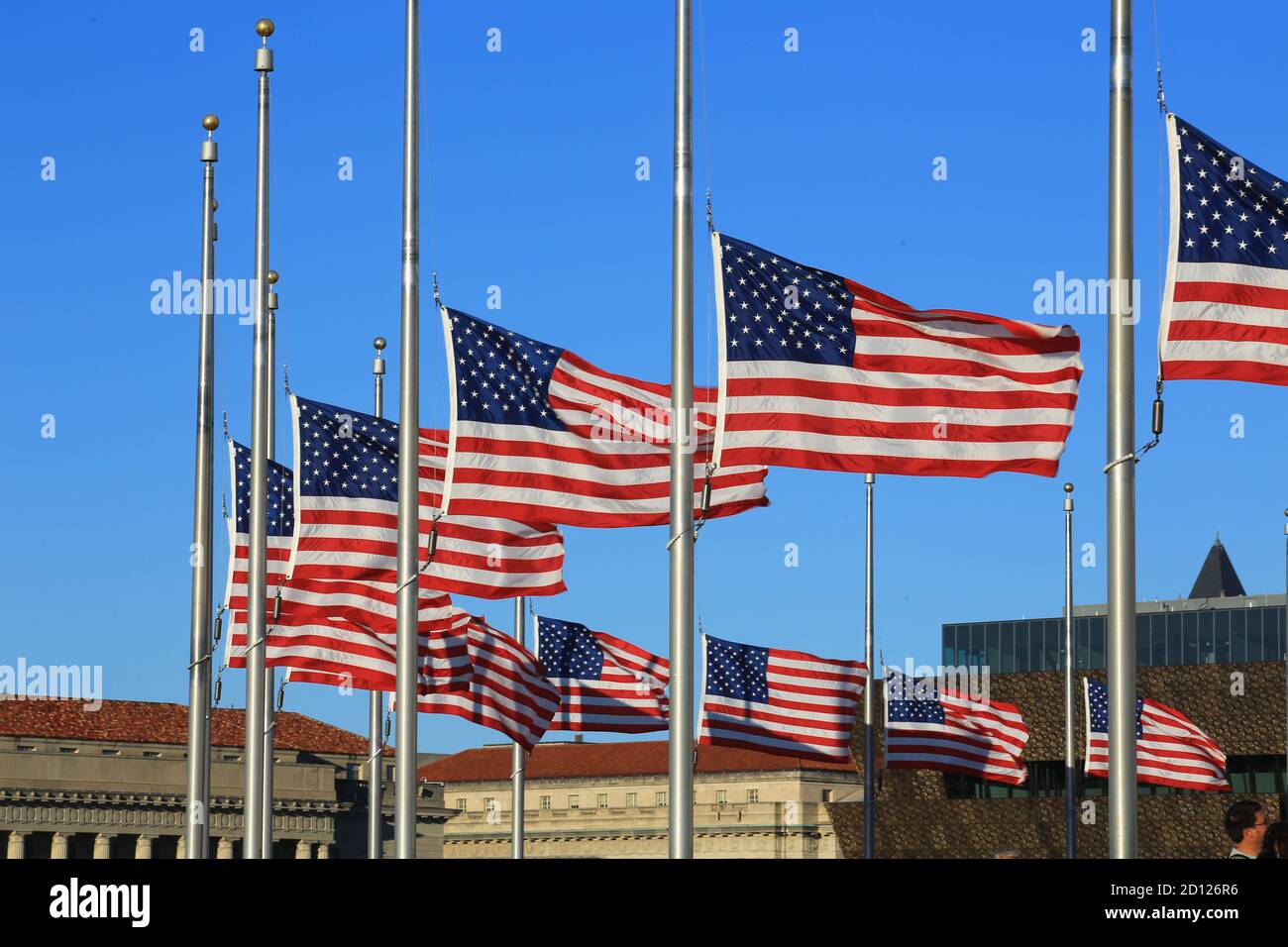 usa flag in the wing Stock Photo - Alamy