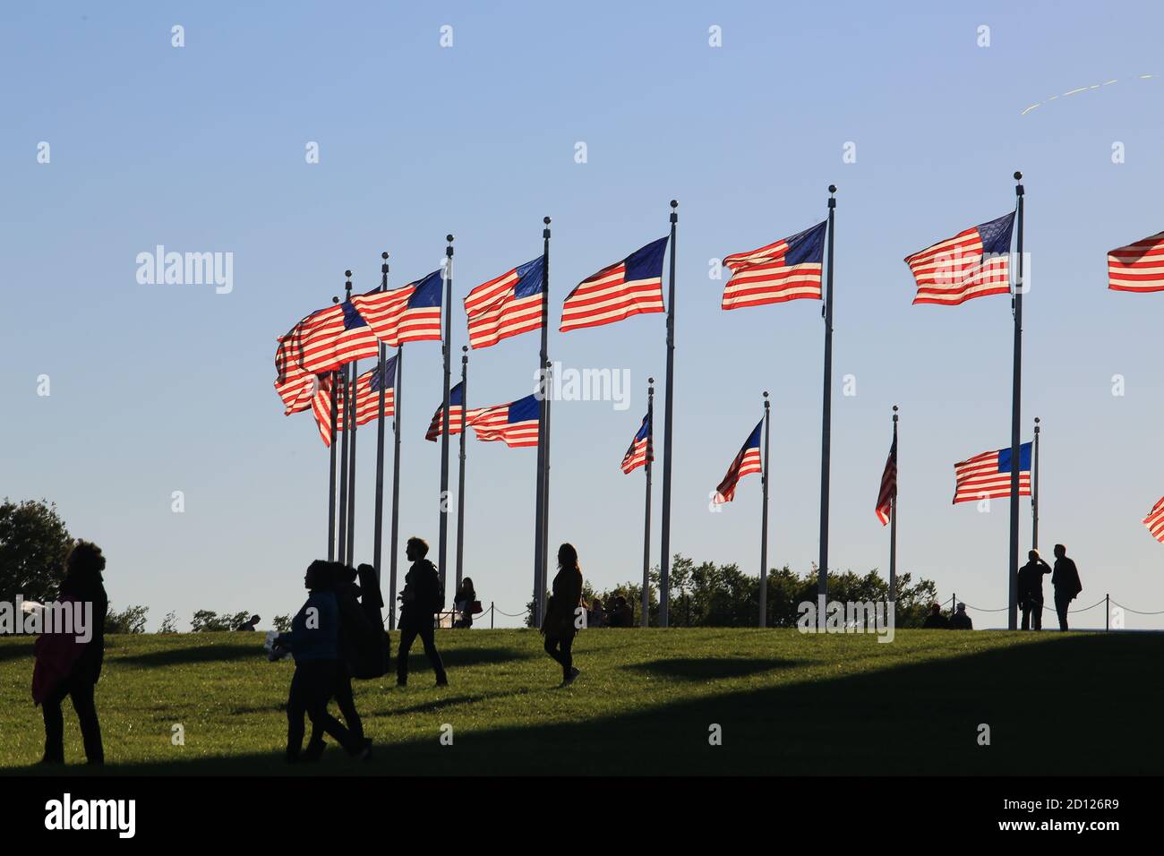 usa flag in the wing Stock Photo - Alamy