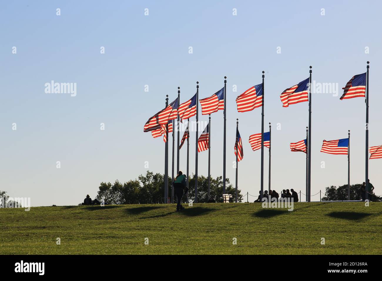 usa flag in the wing Stock Photo - Alamy